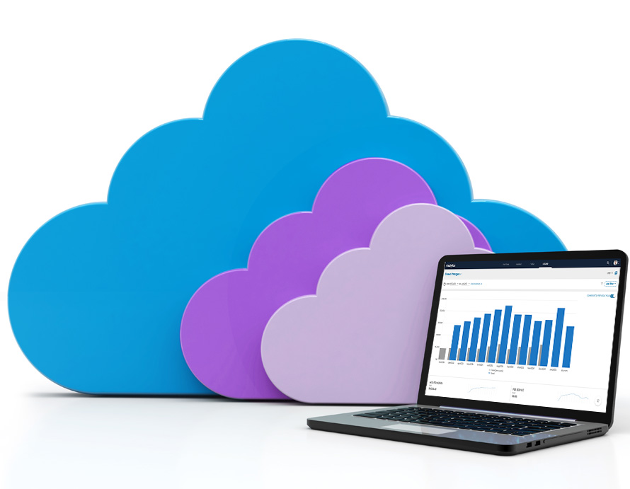 Cloud Expense Management