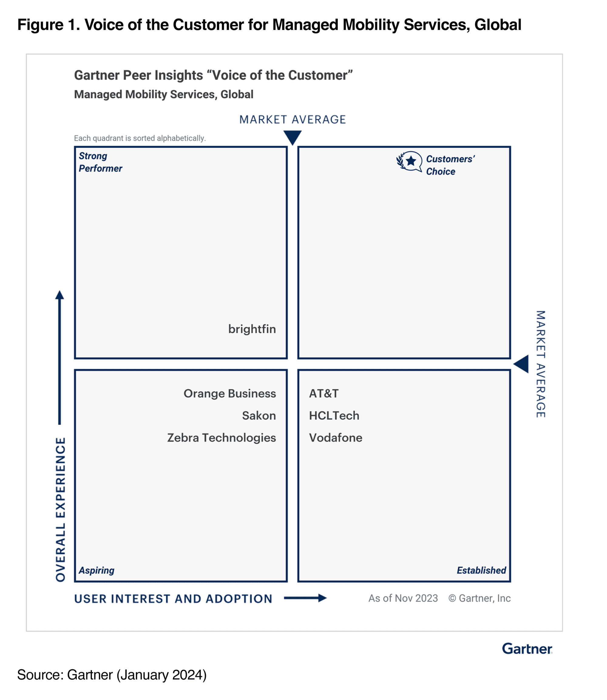 2024 Voice of the Customer